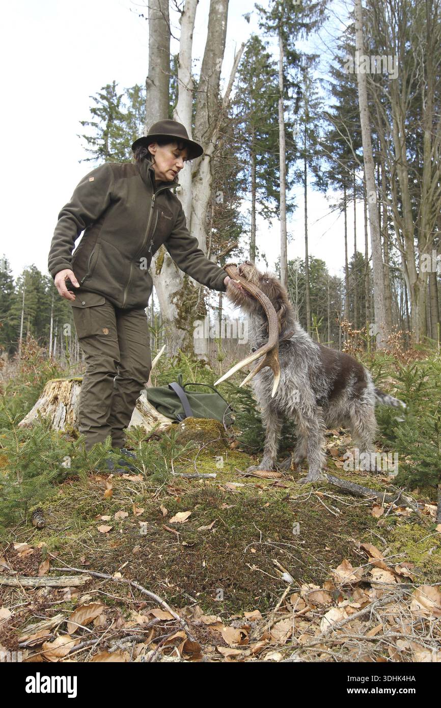 Deer hunter hi-res stock photography and images - Alamy