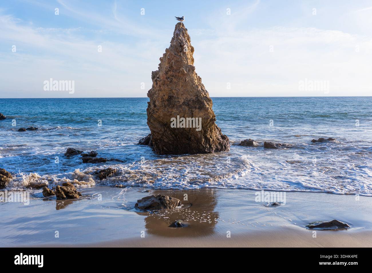 Seagull perches atop a prominent sea stack on El Matador State Beach ...