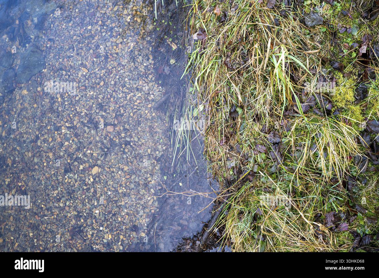 Stream restoration, introduction of gravel to restore the natural ...