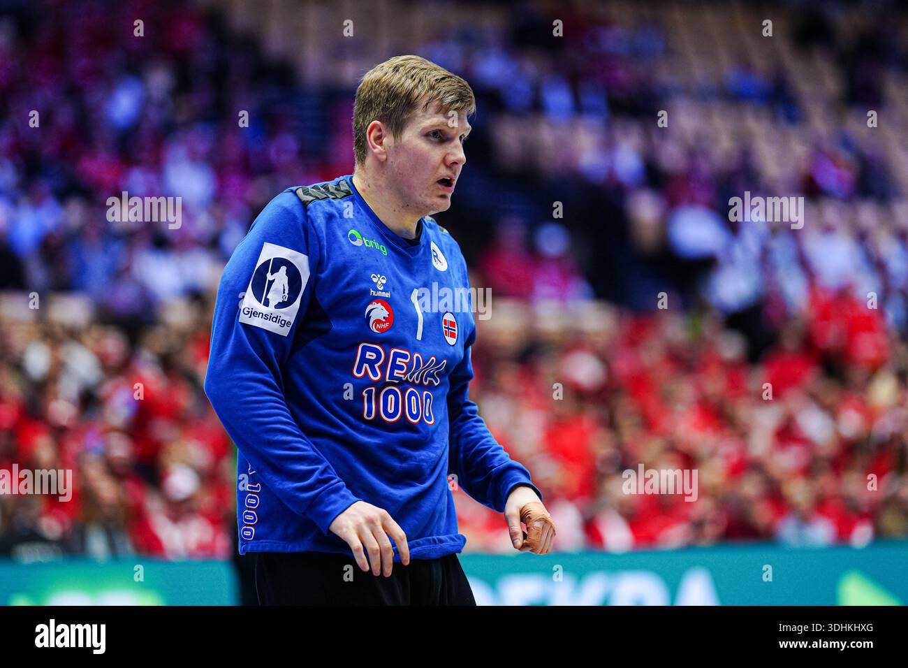 Robin Haug (Norwegen, #01) DEN, Spanien vs, Norwegen, Handball, EHF ...