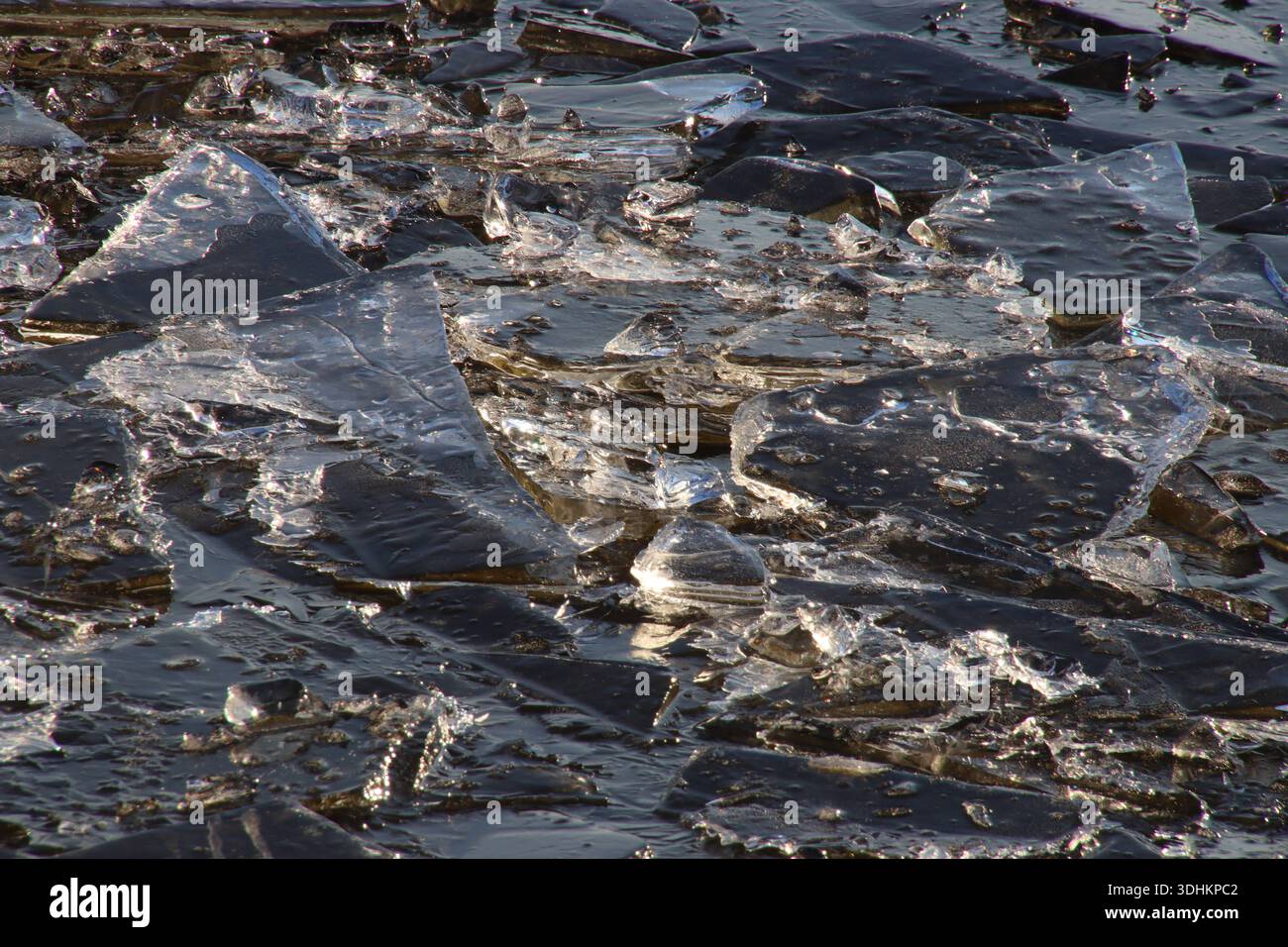 Auf der Binnenalster in Hamburg treiben Eisschollen. *** Ice floes ...