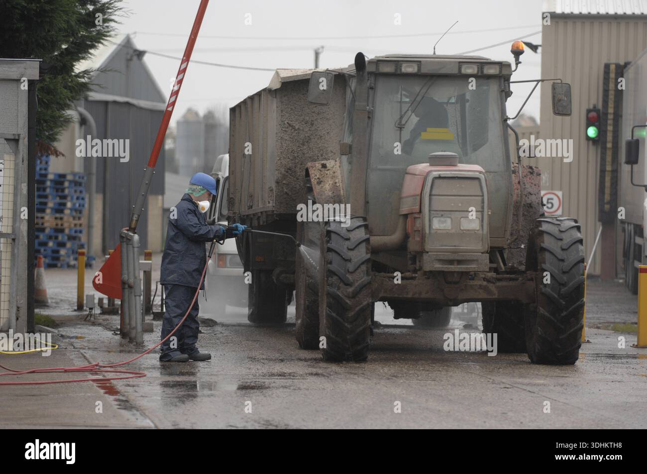 Cleaning and disinfecting tractors on entry to a food factory Stock ...