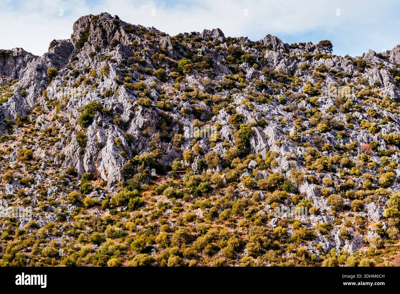 Cueva la pileta hi-res stock photography and images - Alamy