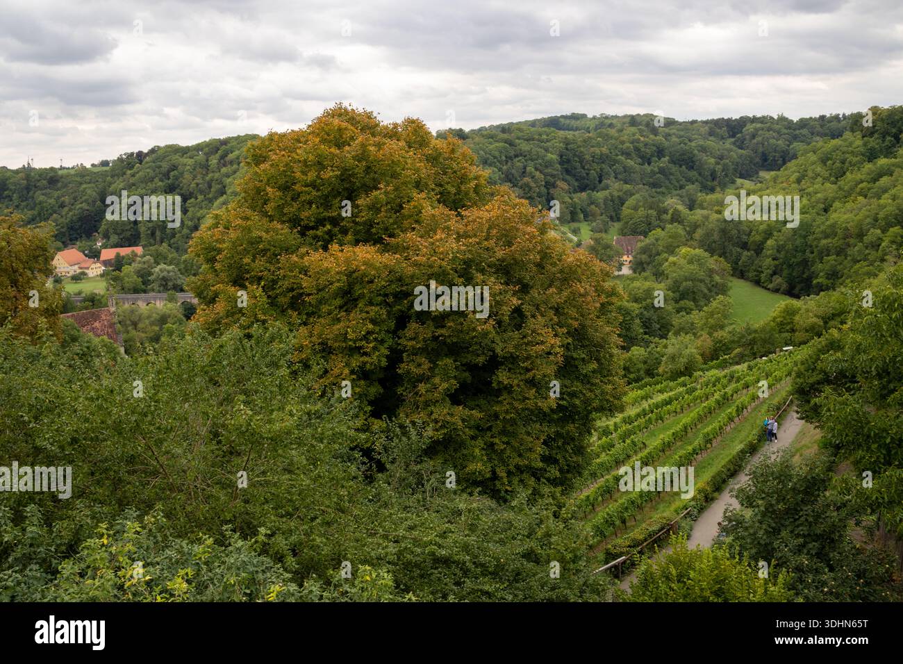 Panoramic viewpoint of Rothenburg ob der Tauber, Bavaria, Germany ...