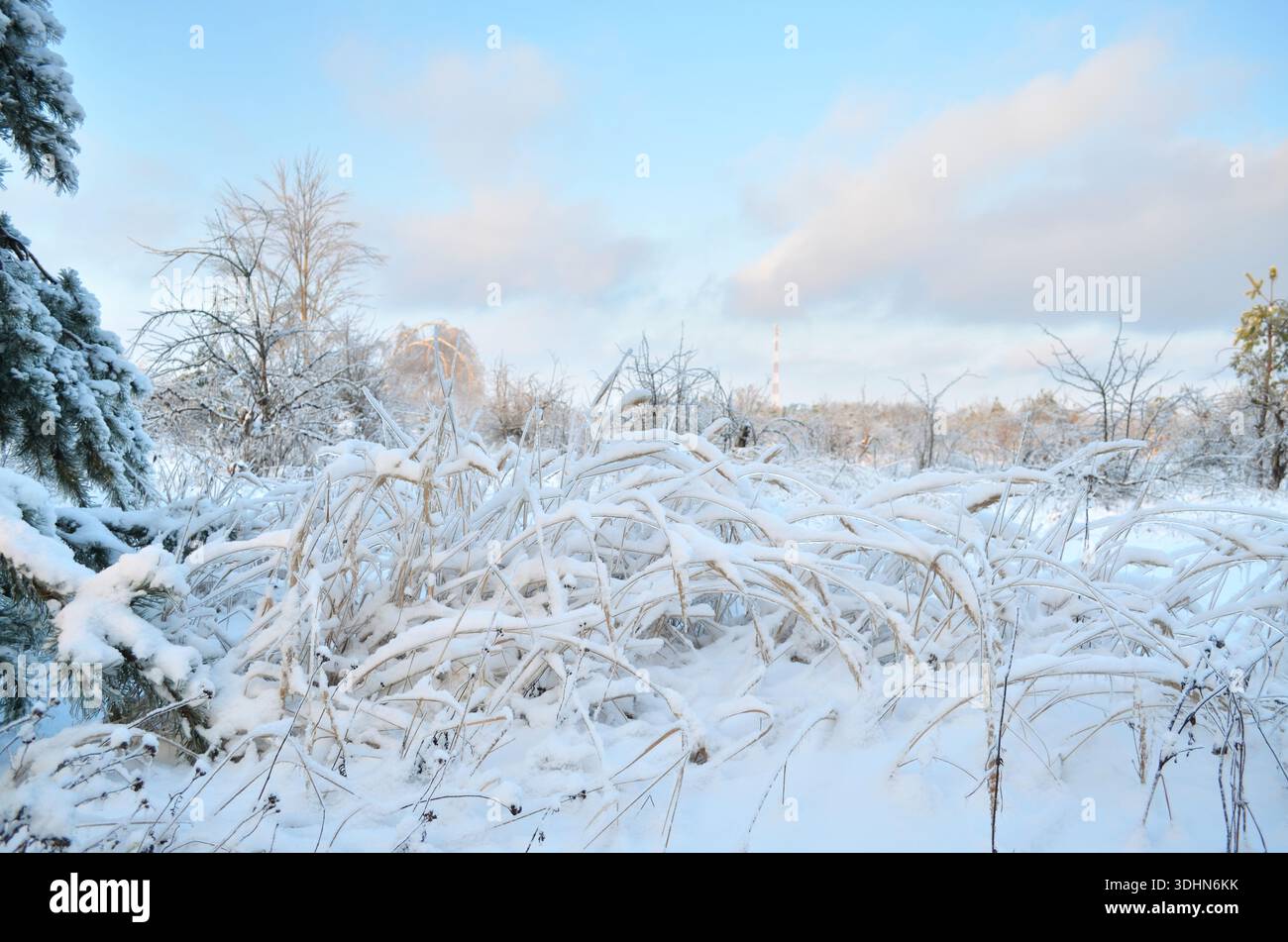 Beautiful natural winter landscape hi-res stock photography and images ...