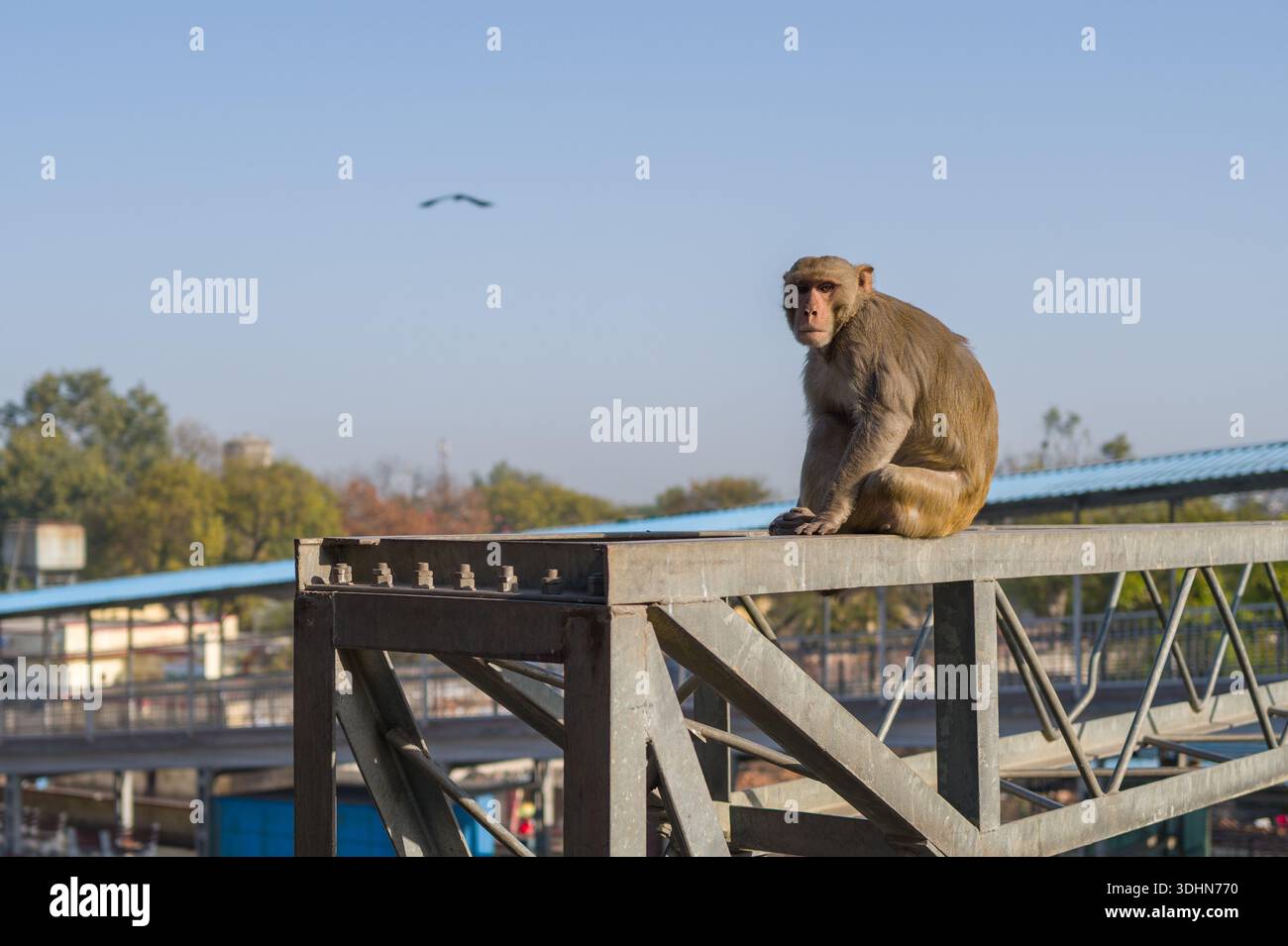 North indian railway hub hi-res stock photography and images - Alamy