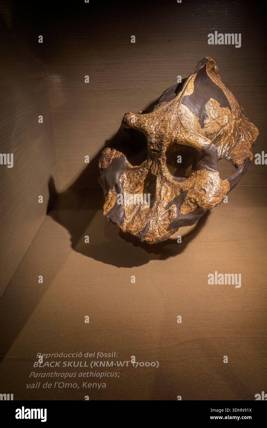 Catalan art reproduction hi-res stock photography and images - Alamy