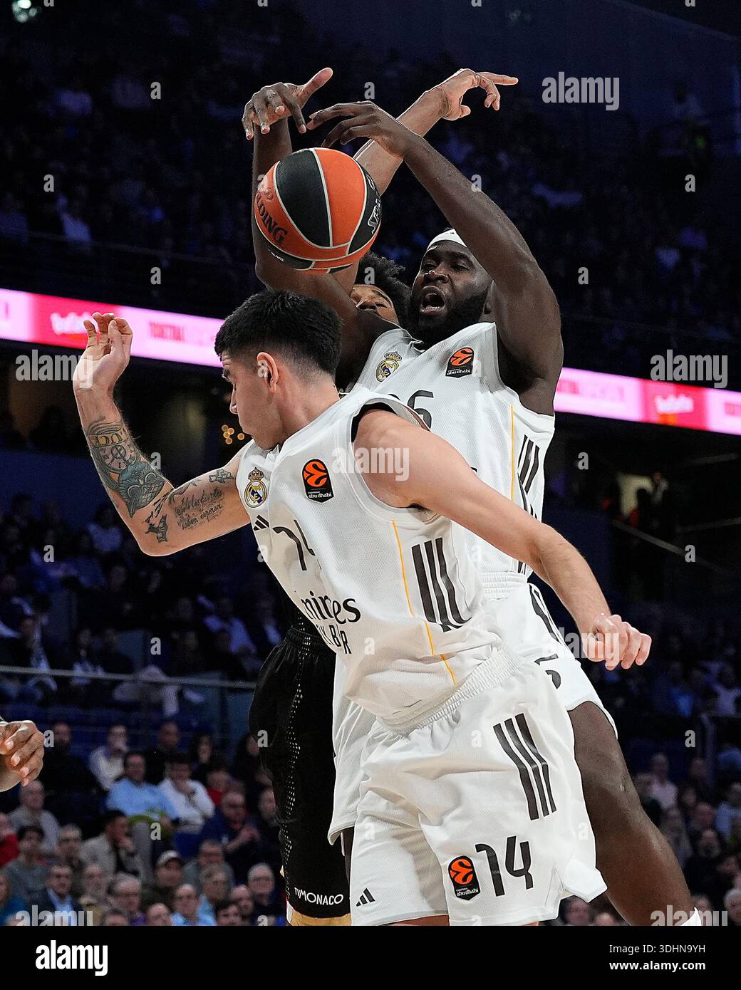 Real Madrid's Usman Garuba (c) and Gabriel Deck (d) and AS Monaco's ...