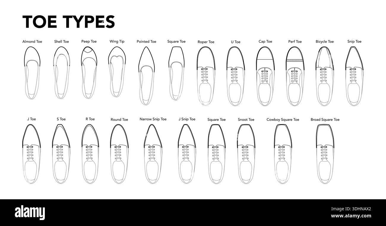 Toe types diagram single line pair. Pointed, almond, square shell ...