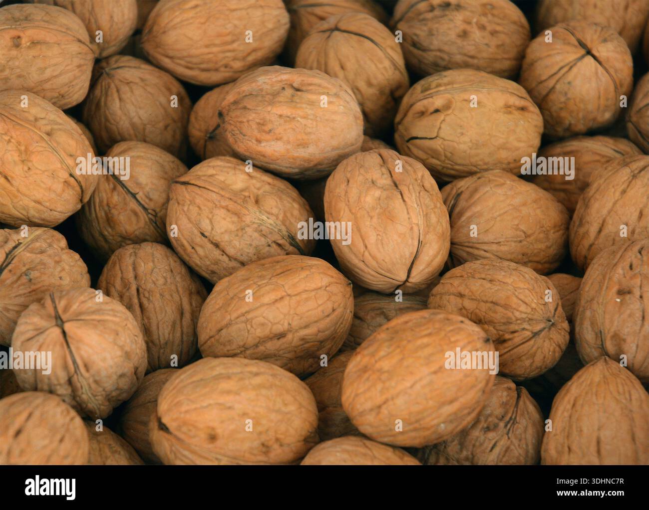 Large heap whole brown walnuts hi-res stock photography and images - Alamy