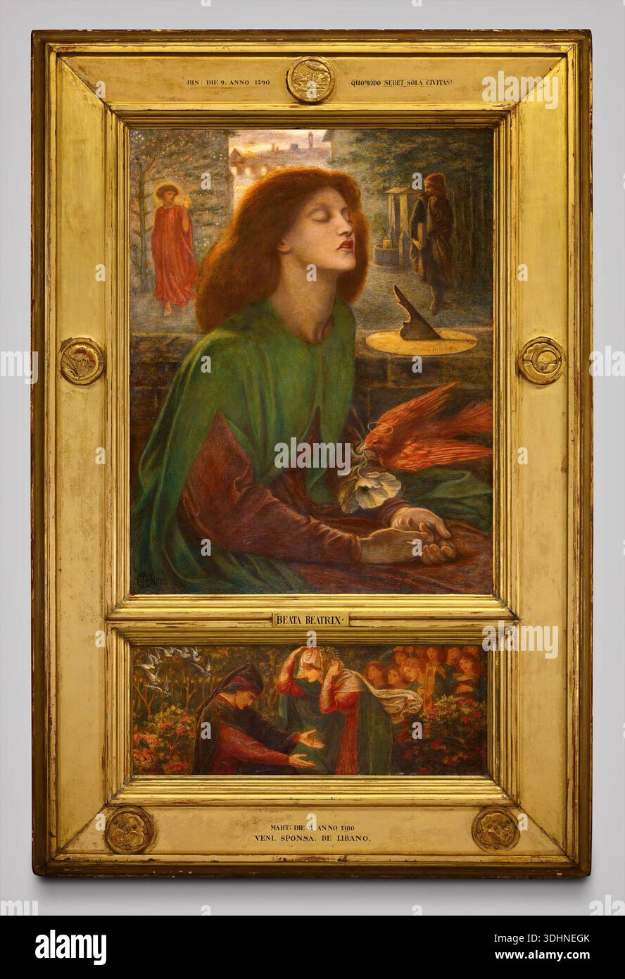 Haloed dove hi-res stock photography and images - Alamy