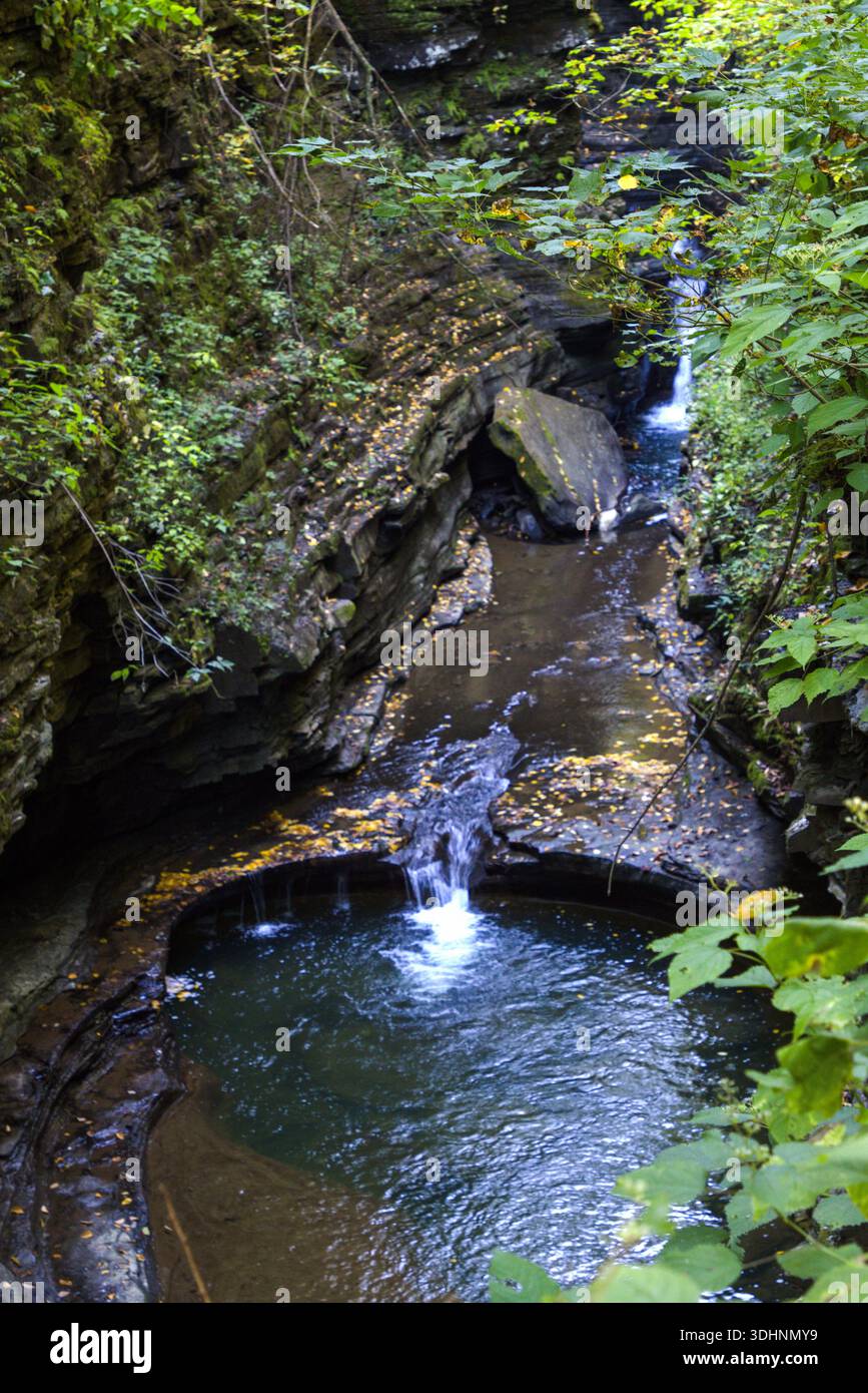 Small canyon waterfall flowing into deep round pool surrounded by mossy ...