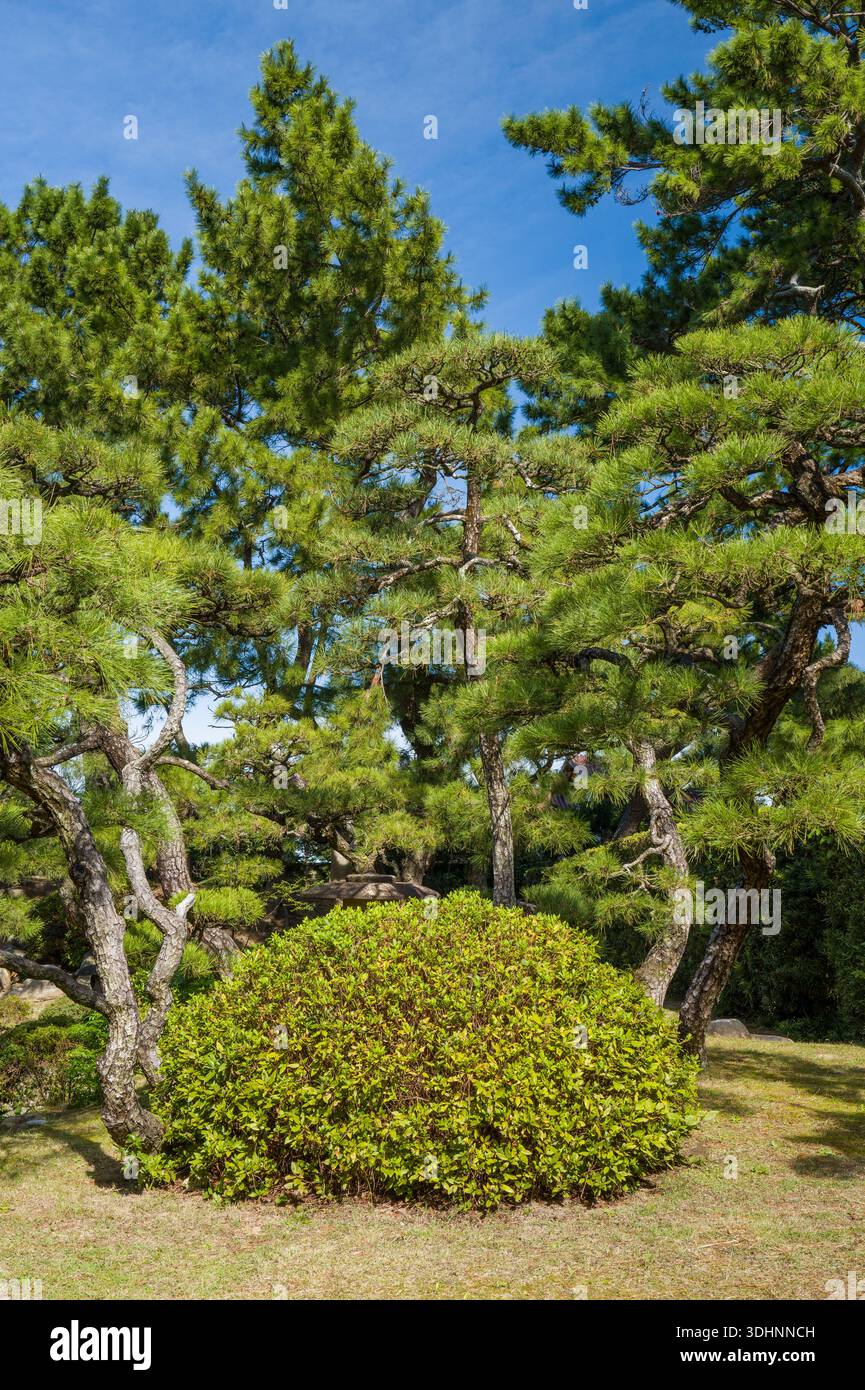 Former takatori residence hi-res stock photography and images - Alamy