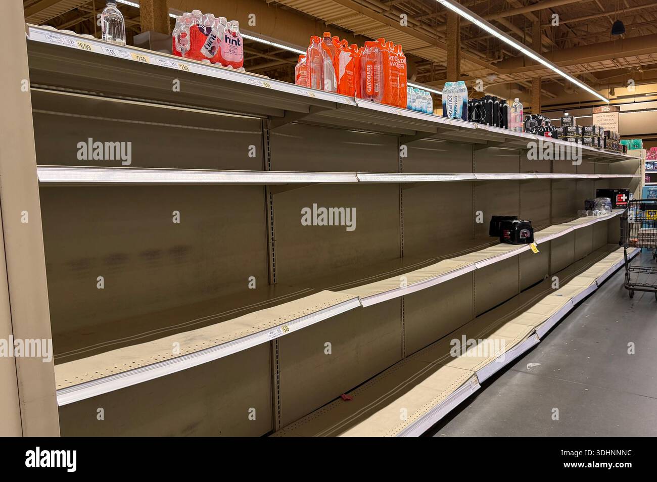Alexandria, VA, USA. 22nd Jan, 2026. View of empty shelves at a Wegmans ...