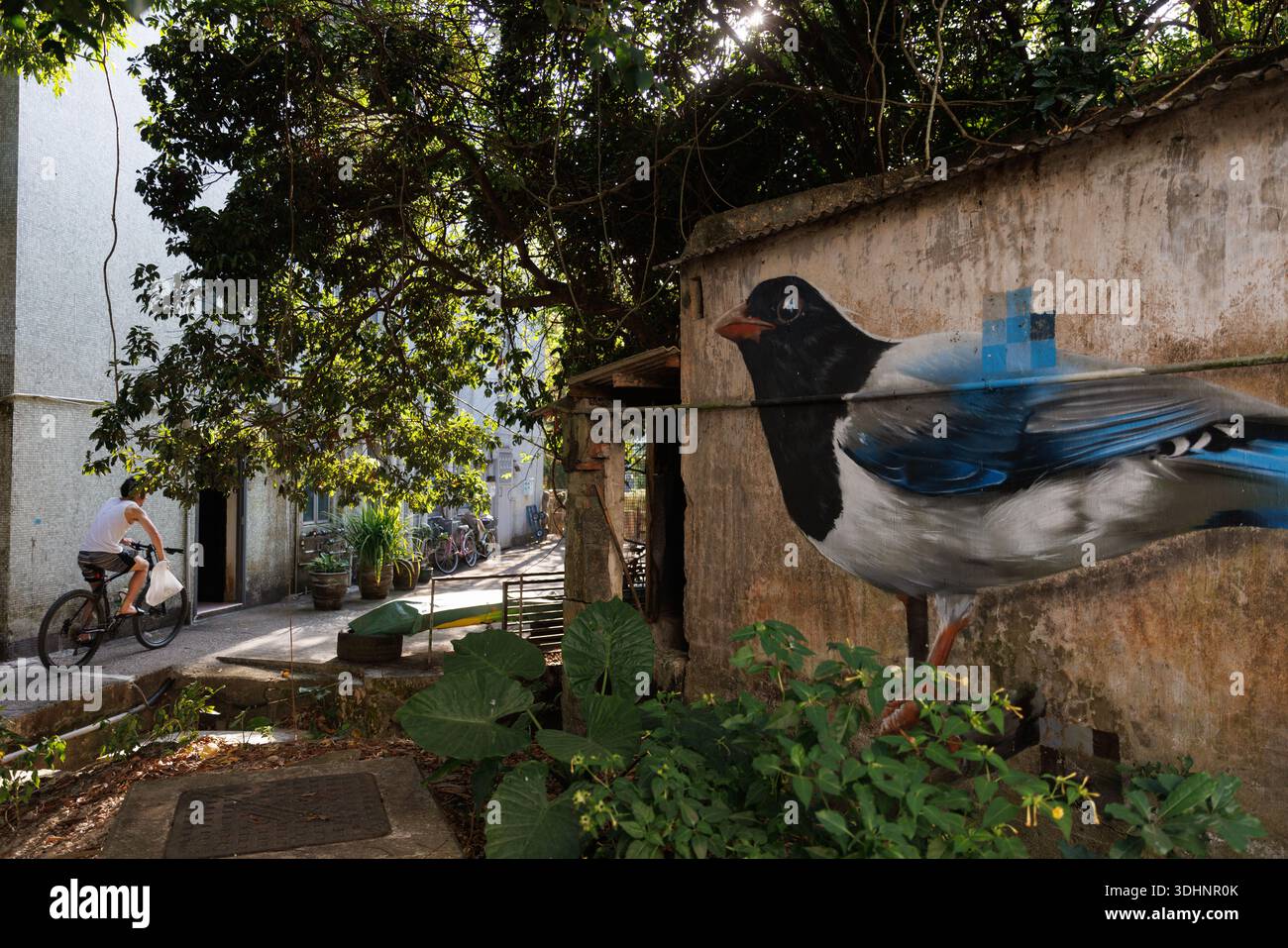 A cyclist rides past a mural of a red-billed blue magpie in Wang Tong ...