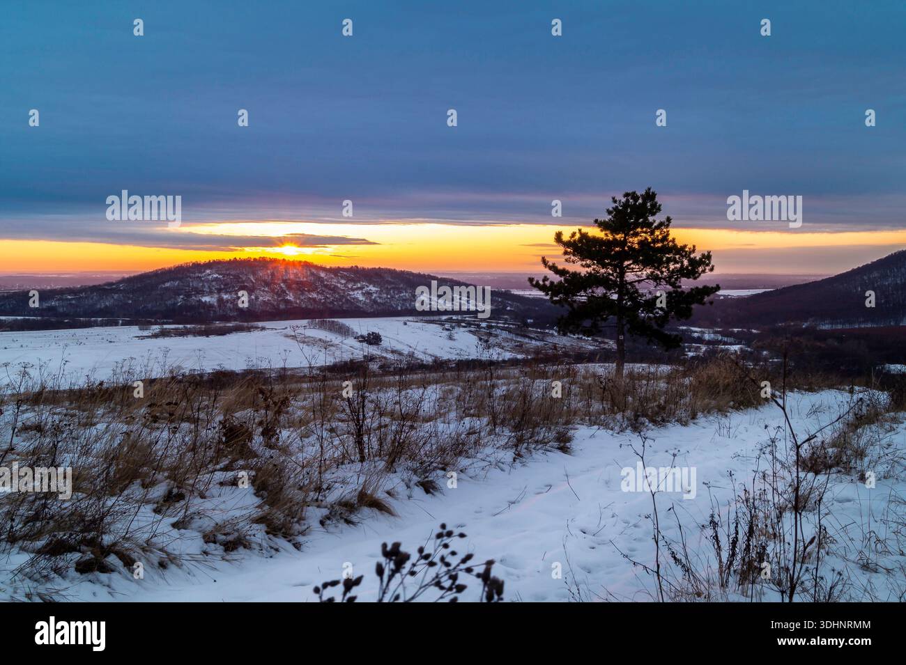 Sunset Over Snowy Hills With Lone Pine Tree And Open Field At Dusk ...