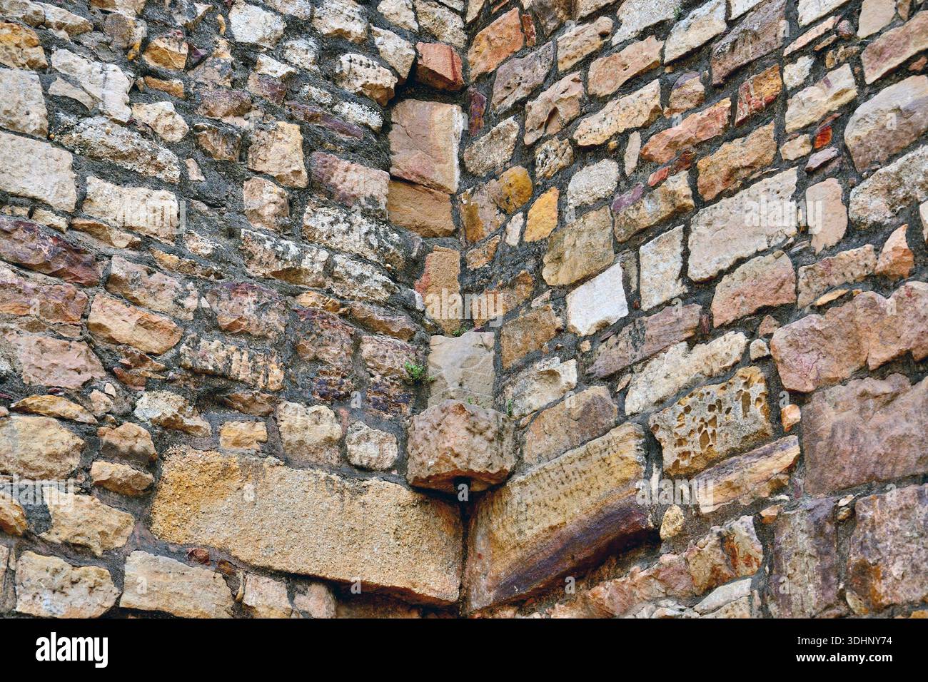 Partial view of the Fortification wall of the fort, Champaner ...