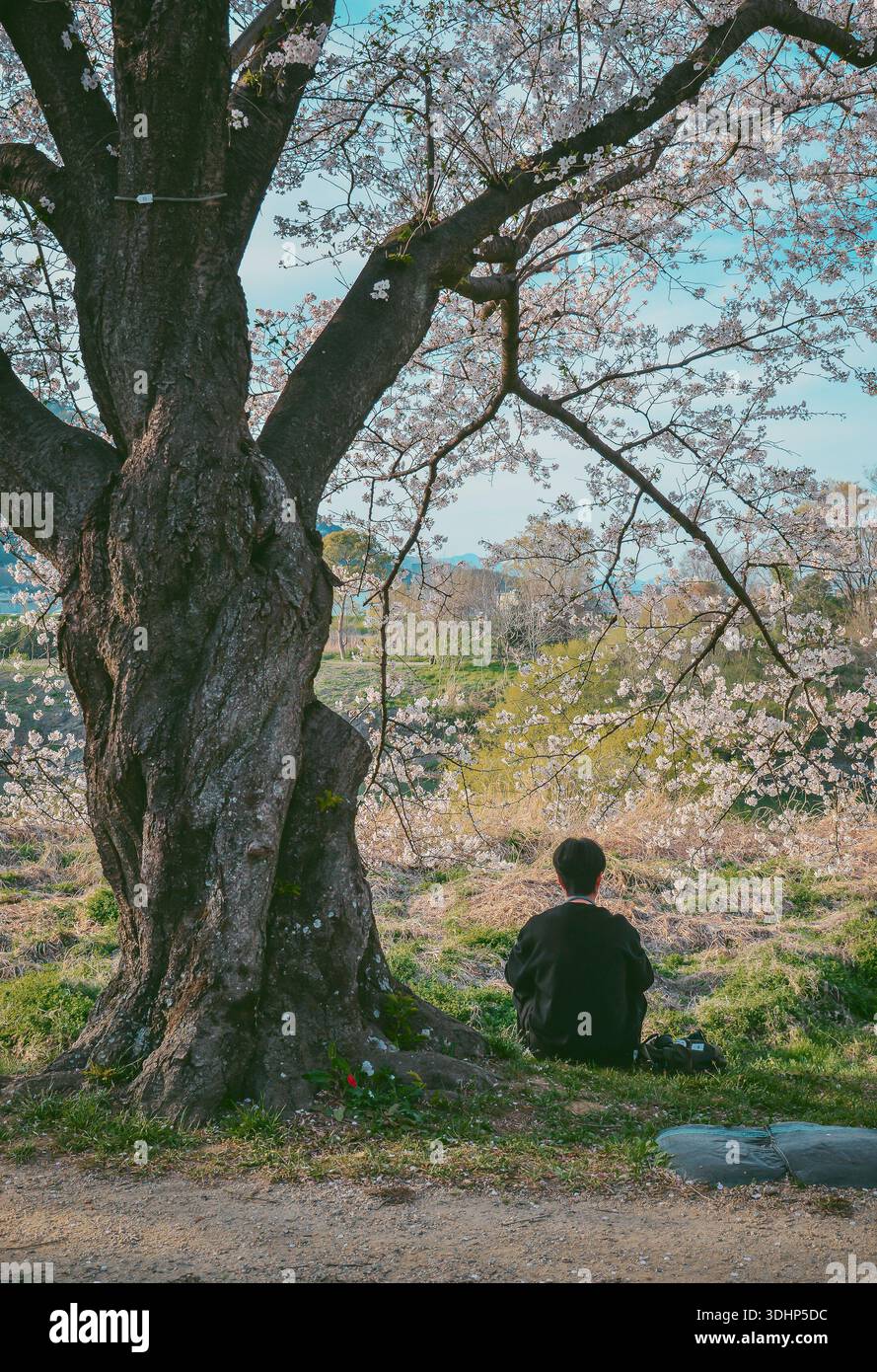 Lonely young adolescent contemplating hi-res stock photography and ...