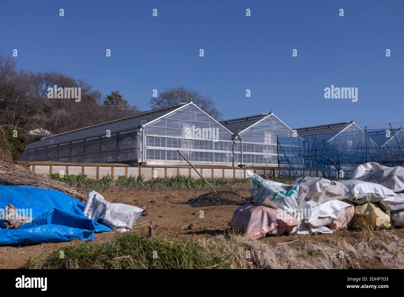 Greenhouses inside an agricultural area in Yokohama, Kanagawa ...