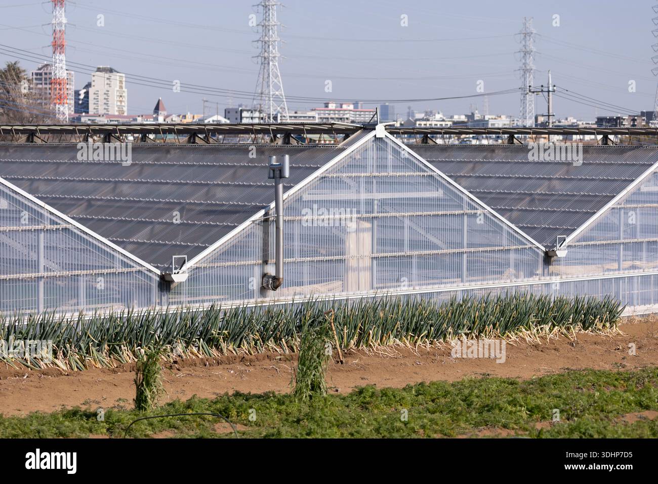 Greenhouses inside an agricultural area in Yokohama, Kanagawa ...