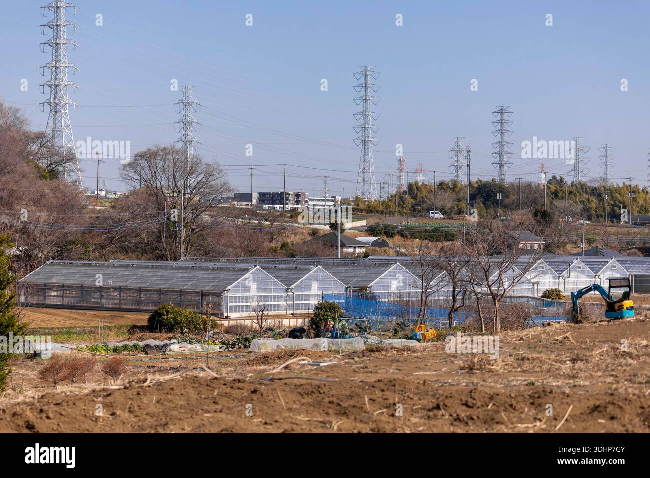Greenhouses inside an agricultural area in Yokohama, Kanagawa ...