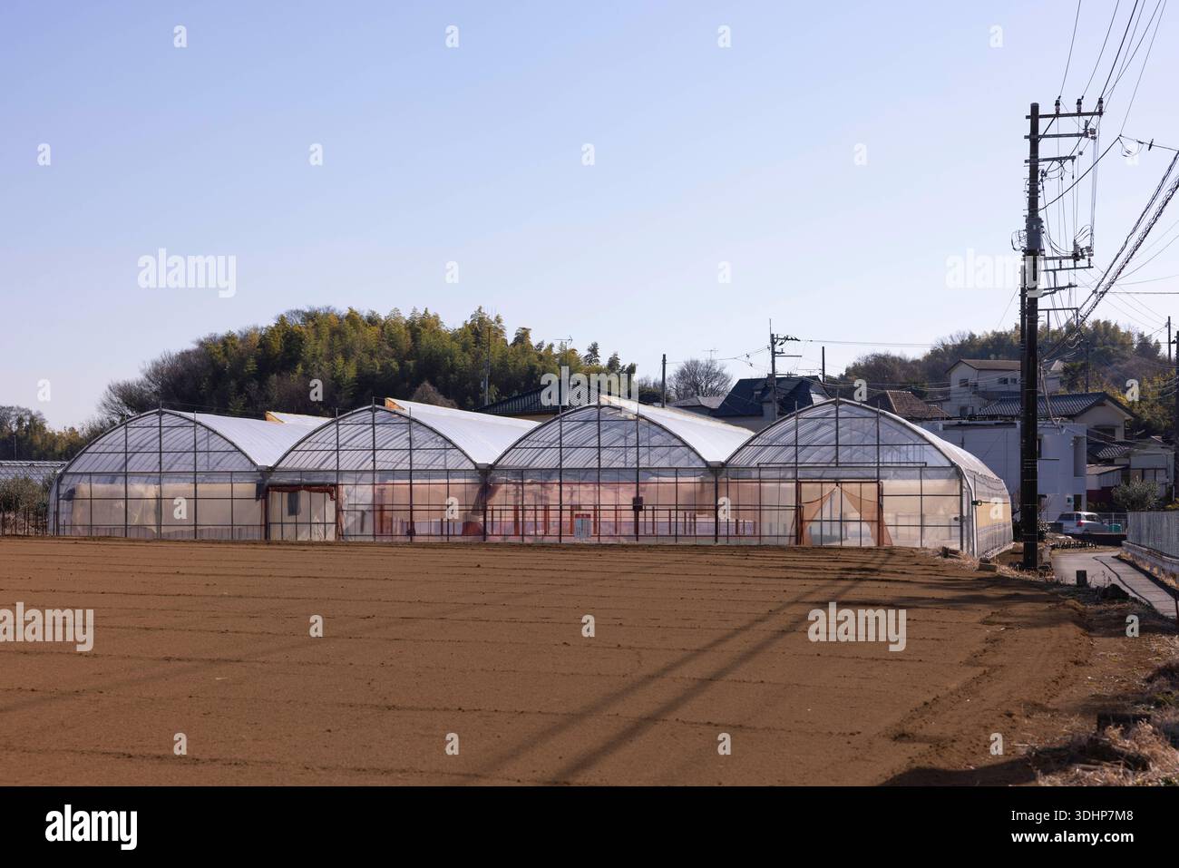 Greenhouses inside an agricultural area in Yokohama, Kanagawa ...