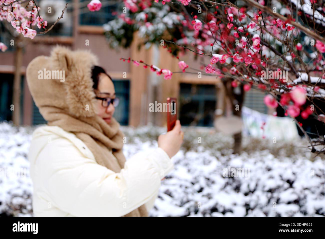 Wintersweet flowers bloom at a botanical garden in Anlu City, central ...