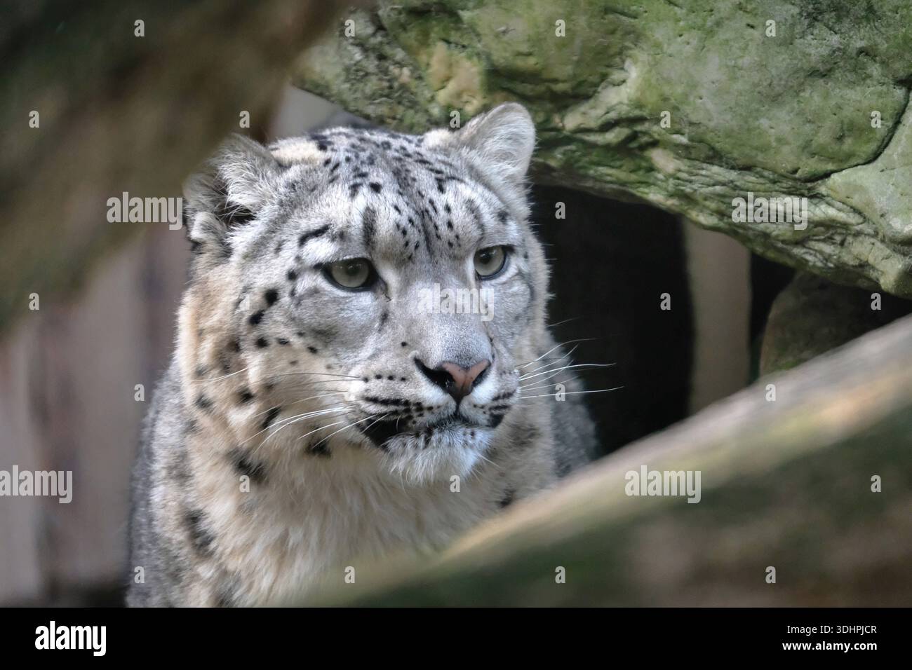 Tiere im Zoo Krefeld auf der Uerdinger Strasse 377 in NRW-Deutschland ...
