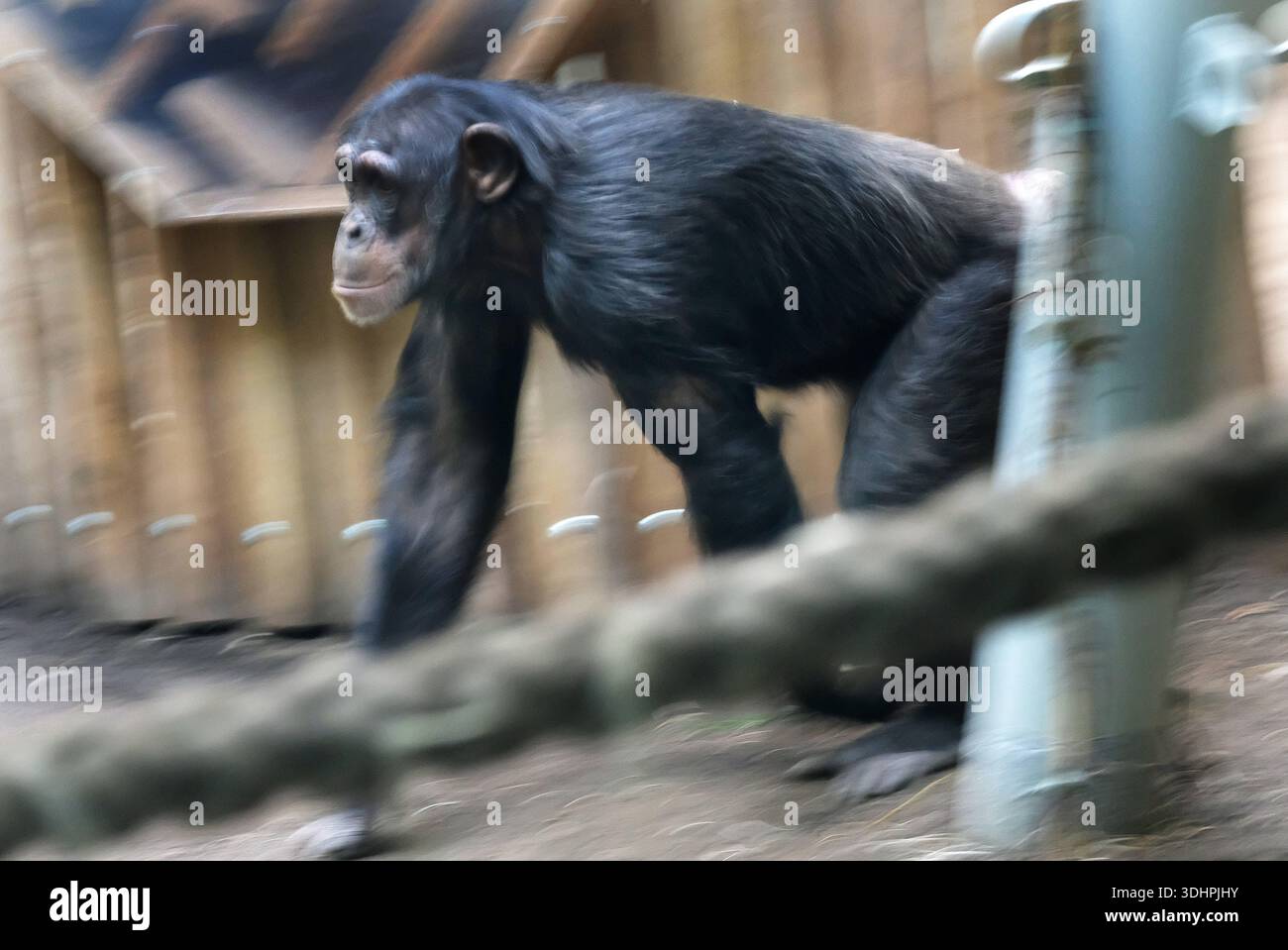 Tiere im Zoo Krefeld auf der Uerdinger Strasse 377 in NRW-Deutschland ...