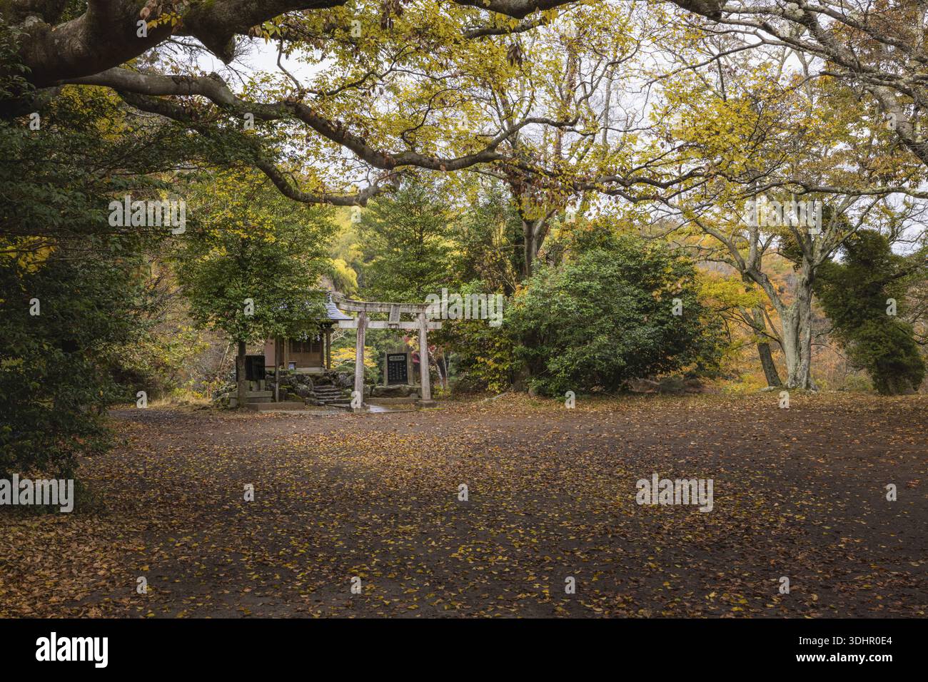 Ippeki lake hi-res stock photography and images - Alamy