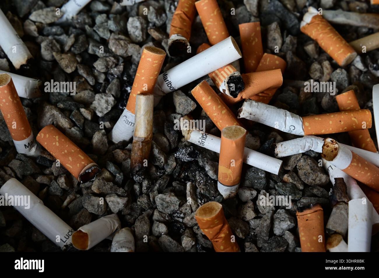 Several cigarettes seen in a concrete ashtray at the Alpe d'Huez ski ...