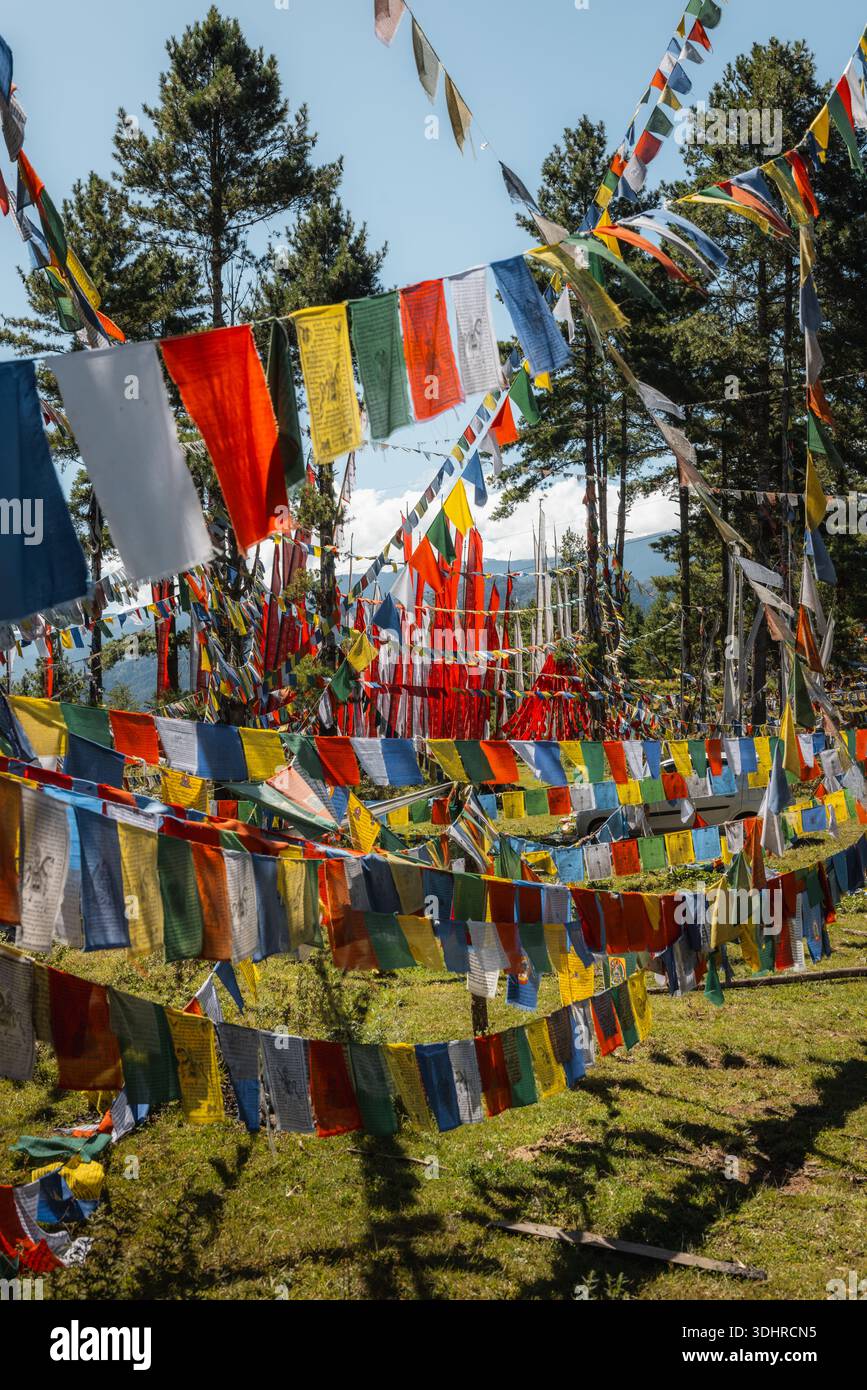 Kiki la pass perspective hi-res stock photography and images - Alamy