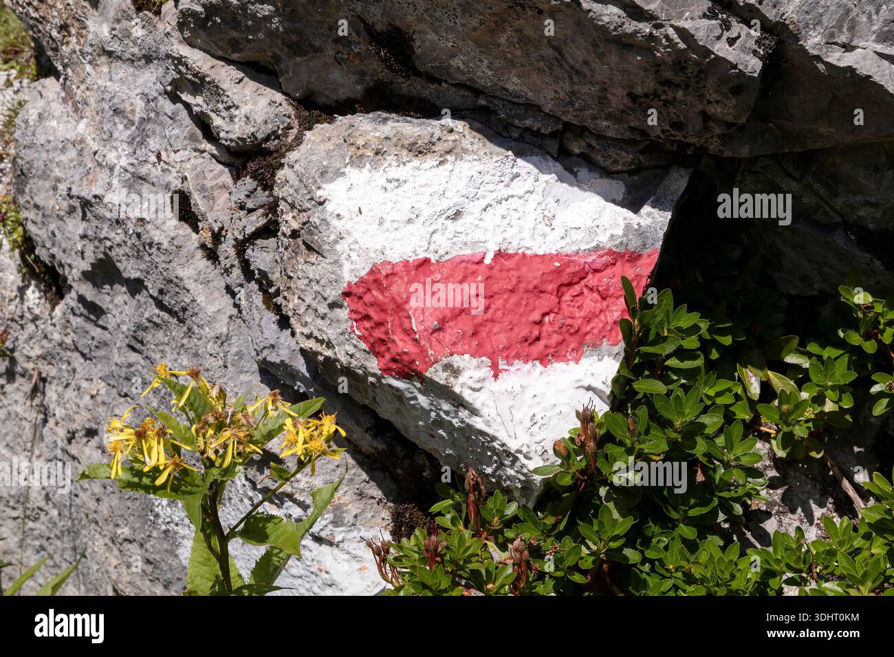 Wanderweg, Wandermarkierung // Hiking trail, hiking marker - 20250723 ...