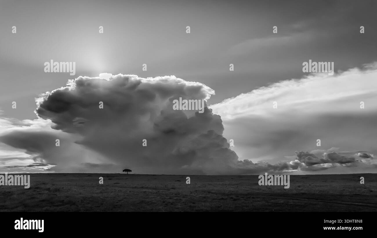 Anvil cloud lightning Black and White Stock Photos & Images - Alamy