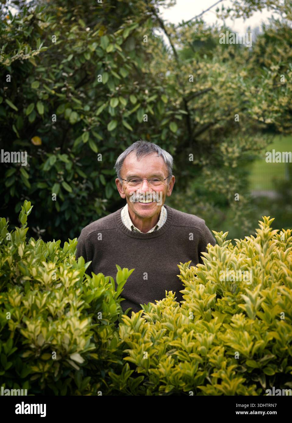 John jansen van galen hi-res stock photography and images - Alamy