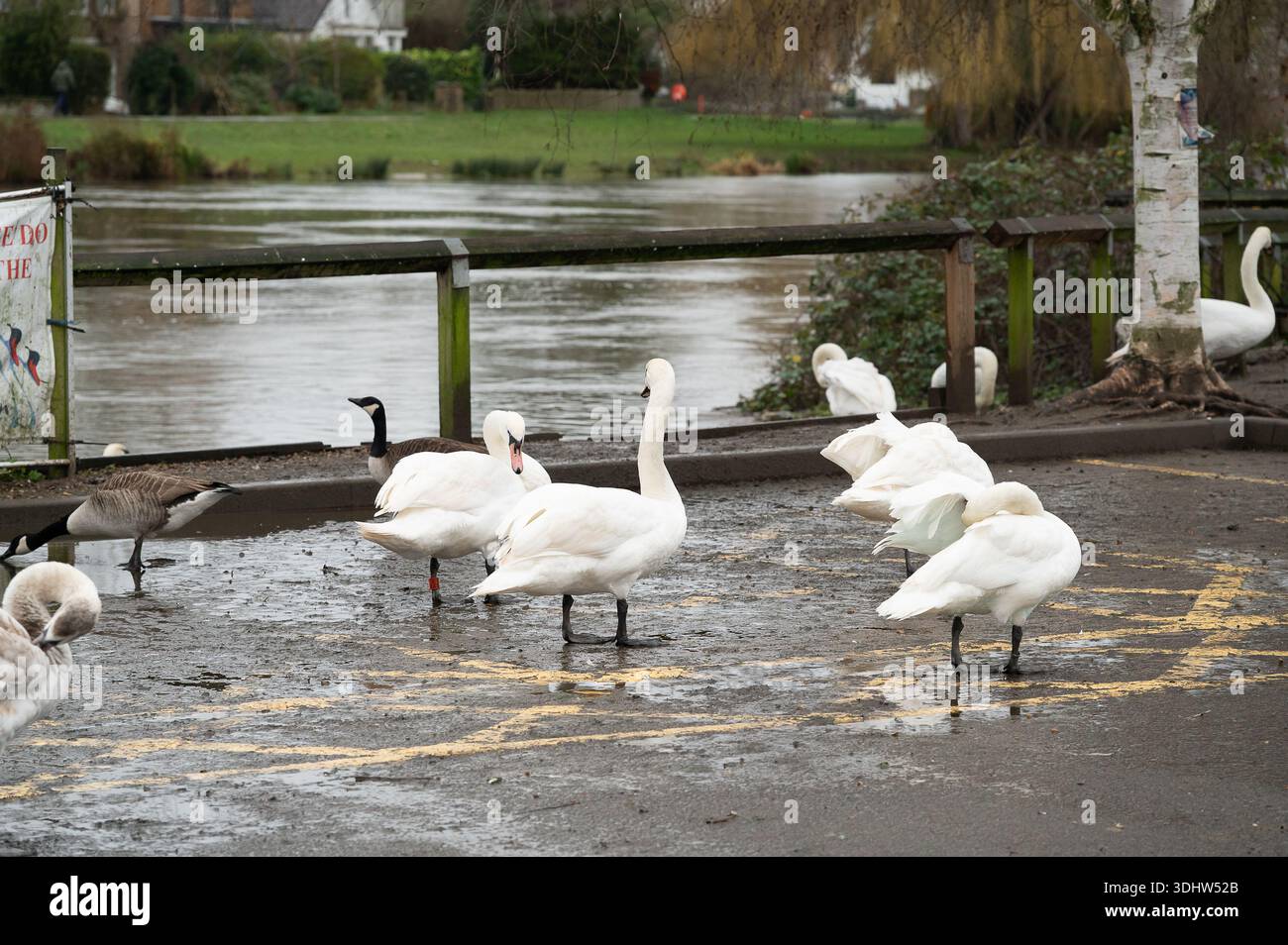 January 30 2026 rural hi-res stock photography and images - Alamy
