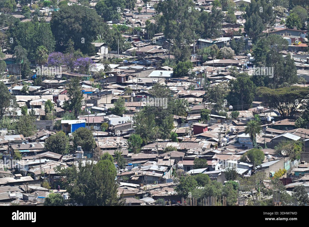 22 January 2026, Ethiopia, Addis Abeba: Single-storey houses with ...