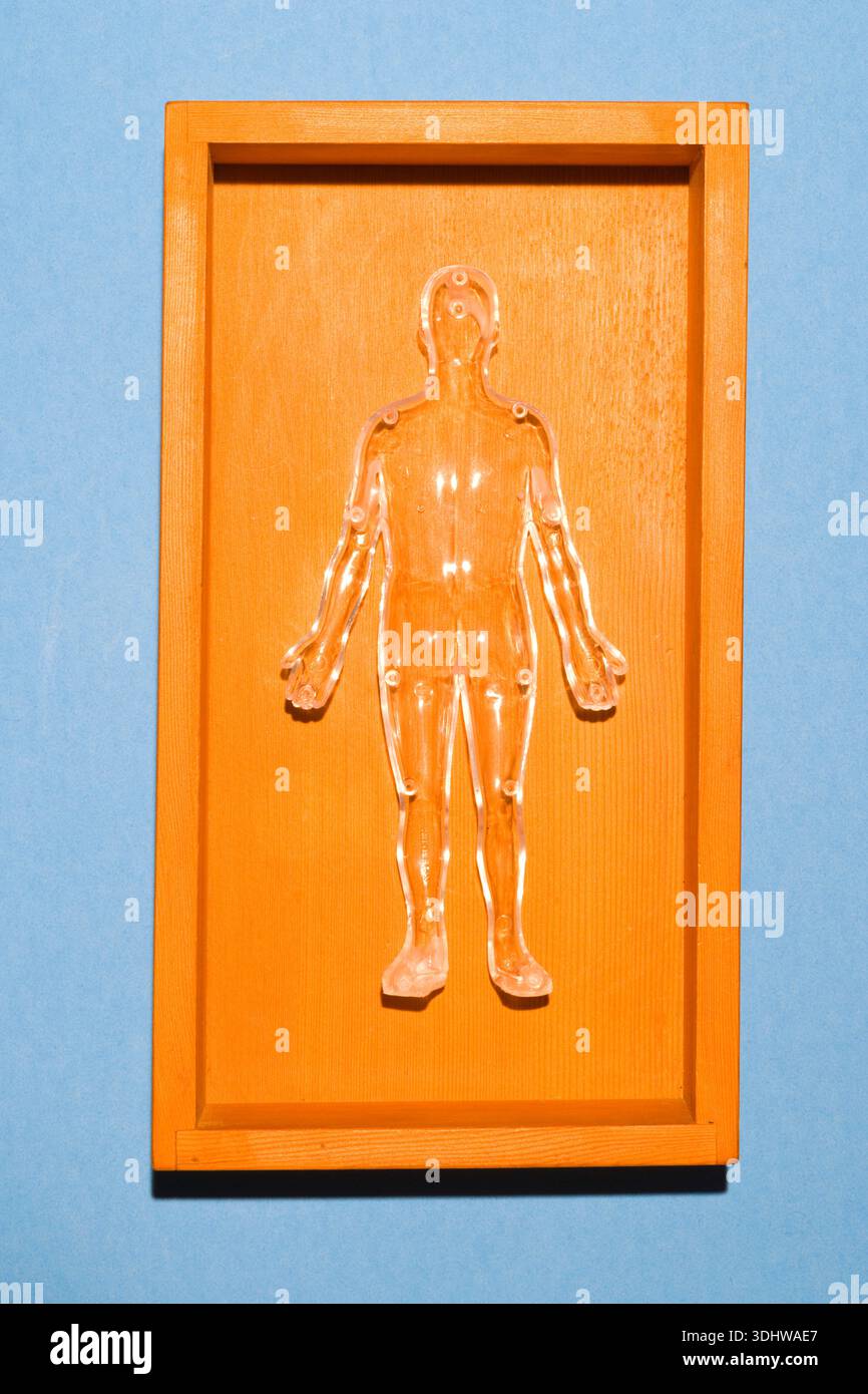 An orange plastic human anatomy figure Stock Photo - Alamy