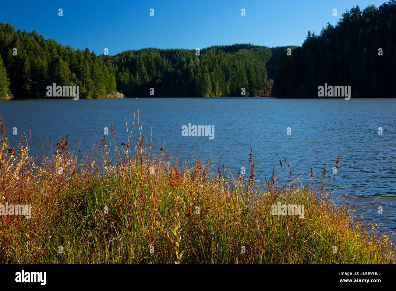 William tugman state park hi-res stock photography and images - Alamy