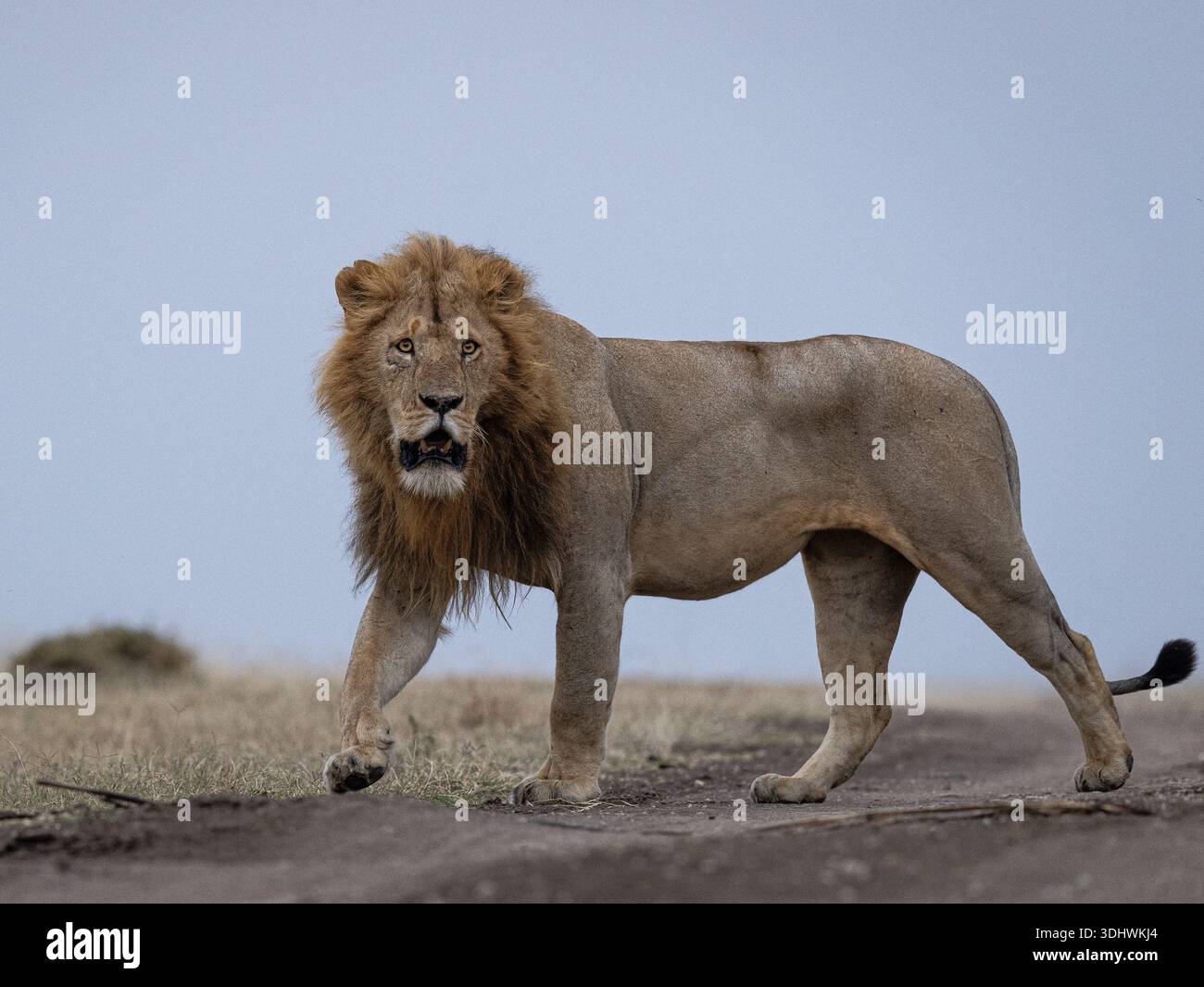 Lolgorian landscape hi-res stock photography and images - Alamy