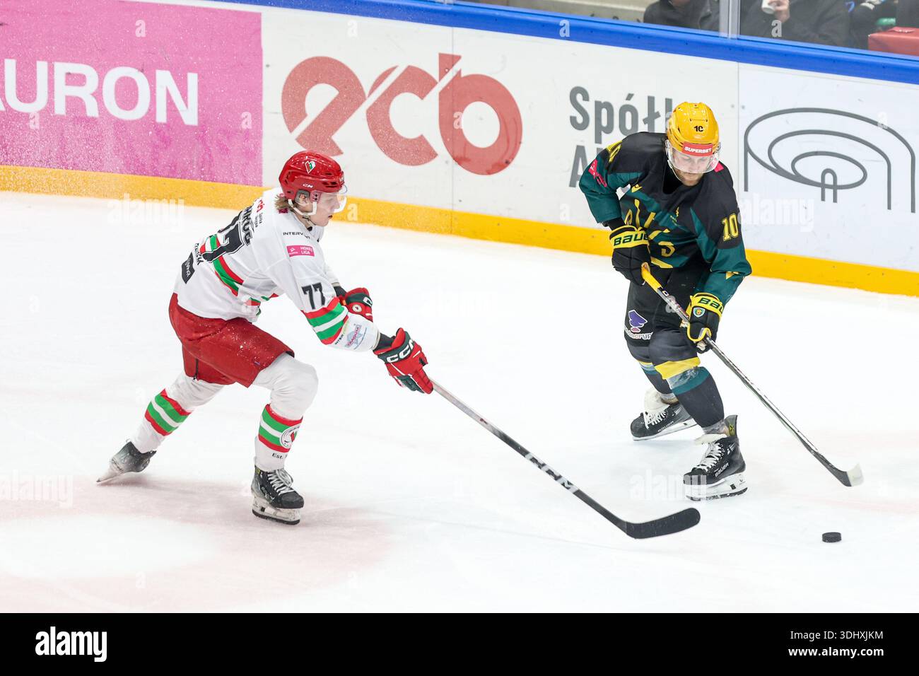 23.01.2026, Sosnowiec Mecz Tauron Hokej Liga sezon 2025/26 ECB Zaglebie ...