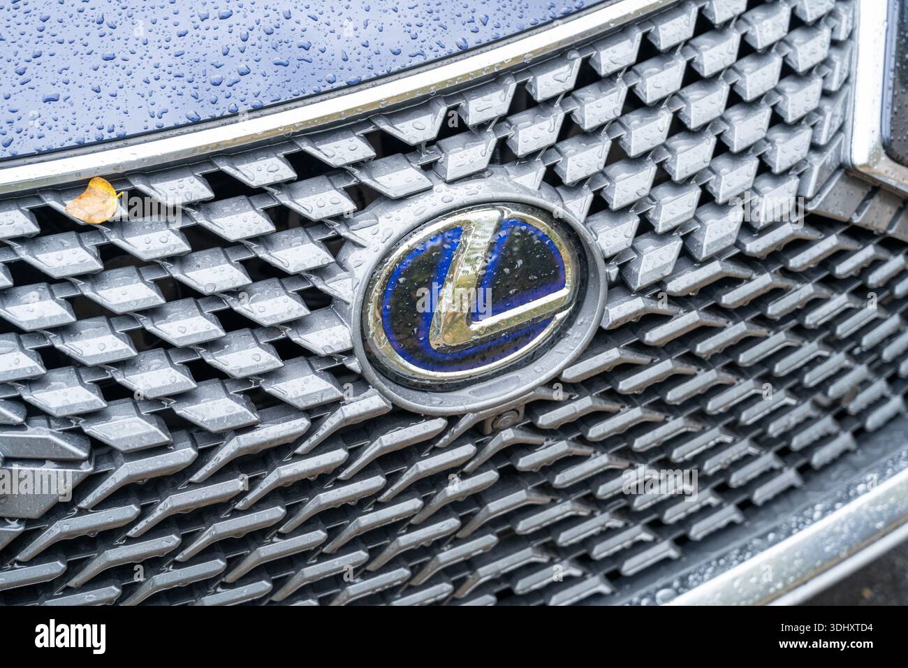 Close-up of the front grille of a vehicle with Lexus logo emblem ...