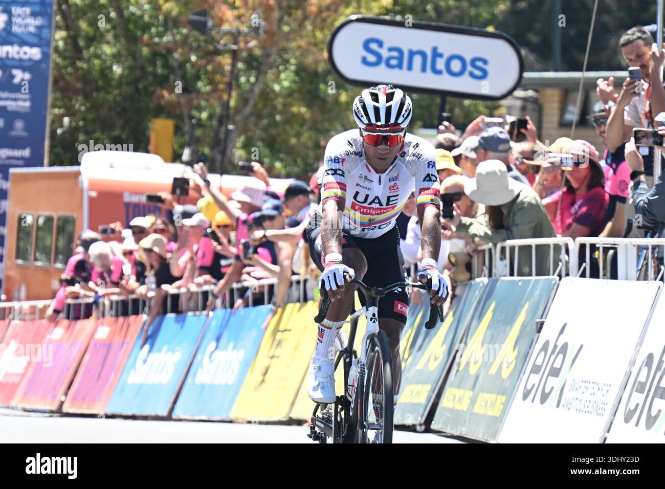 22-01-2026 Tour Down Under; Tappa 02 Norwood - Uraidla; 2026, Uae ...