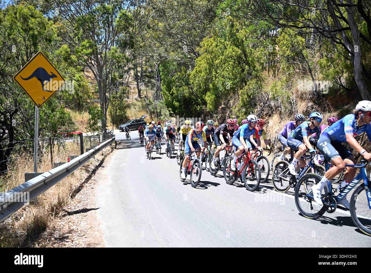 22-01-2026 Tour Down Under; Tappa 02 Norwood - Uraidla; 2026, Groupama ...