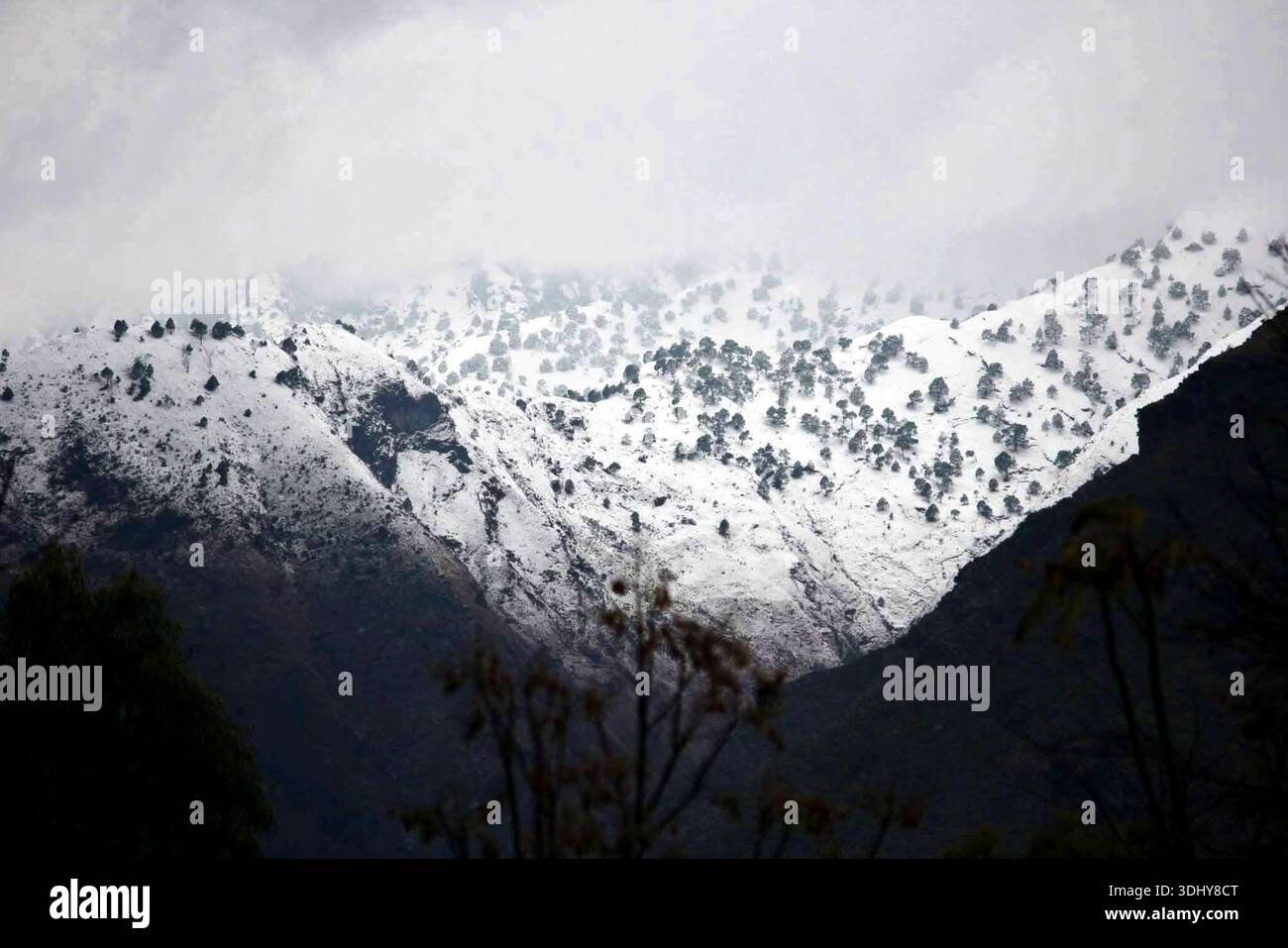 Peshawar, Peshawar, Pakistan. 23rd Jan, 2026. Heavy Snowfall Disrupts ...