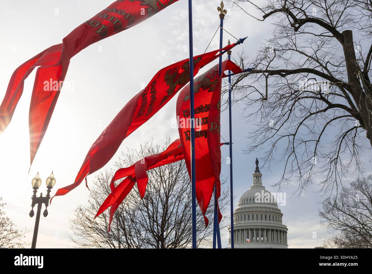 People holding banners walk by the U.S. Capitol during the March for ...