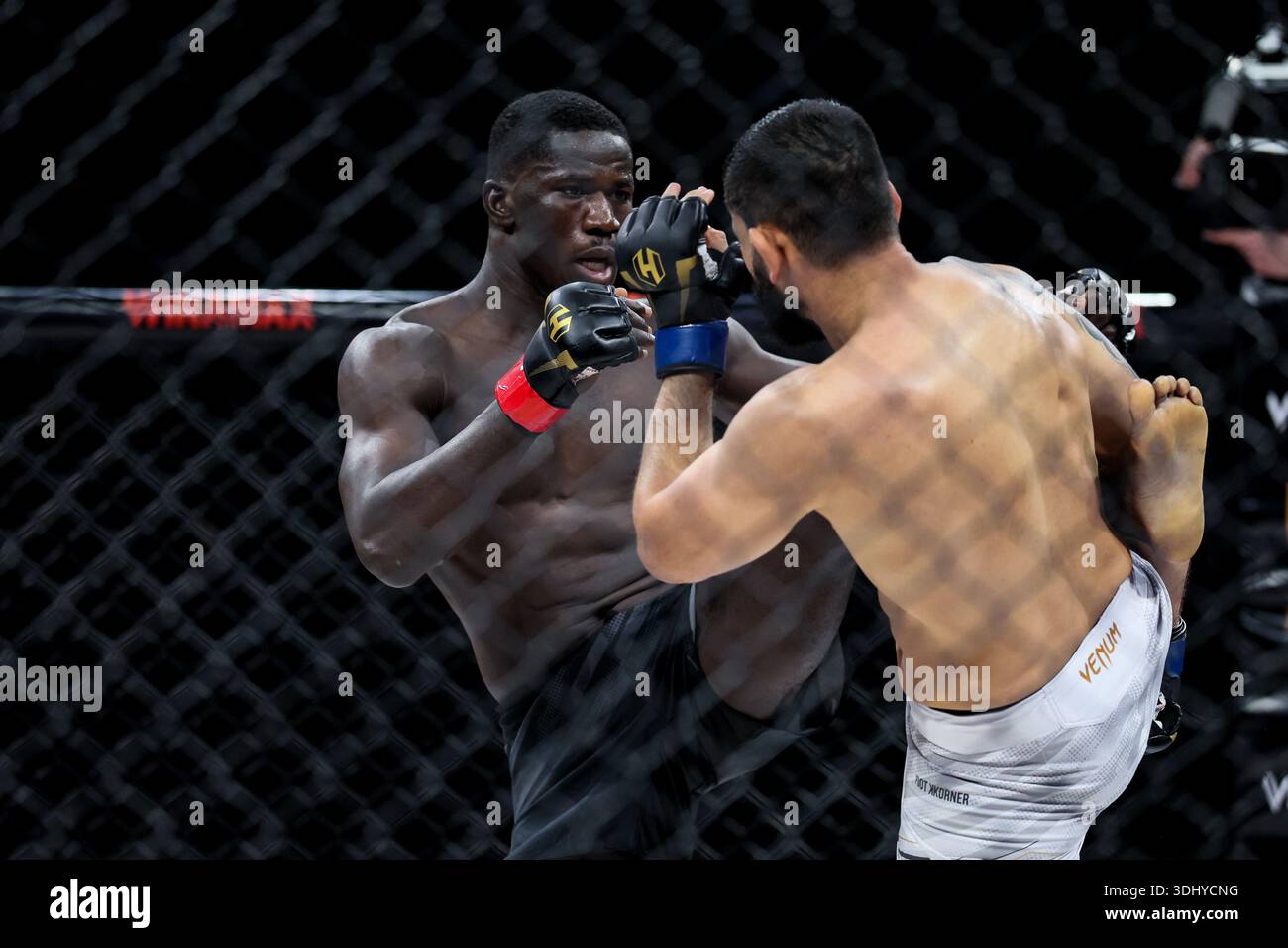 SOUKOUNA of Mali - SILVA of Brazil during the Hexagone MMA 37 at Le ...