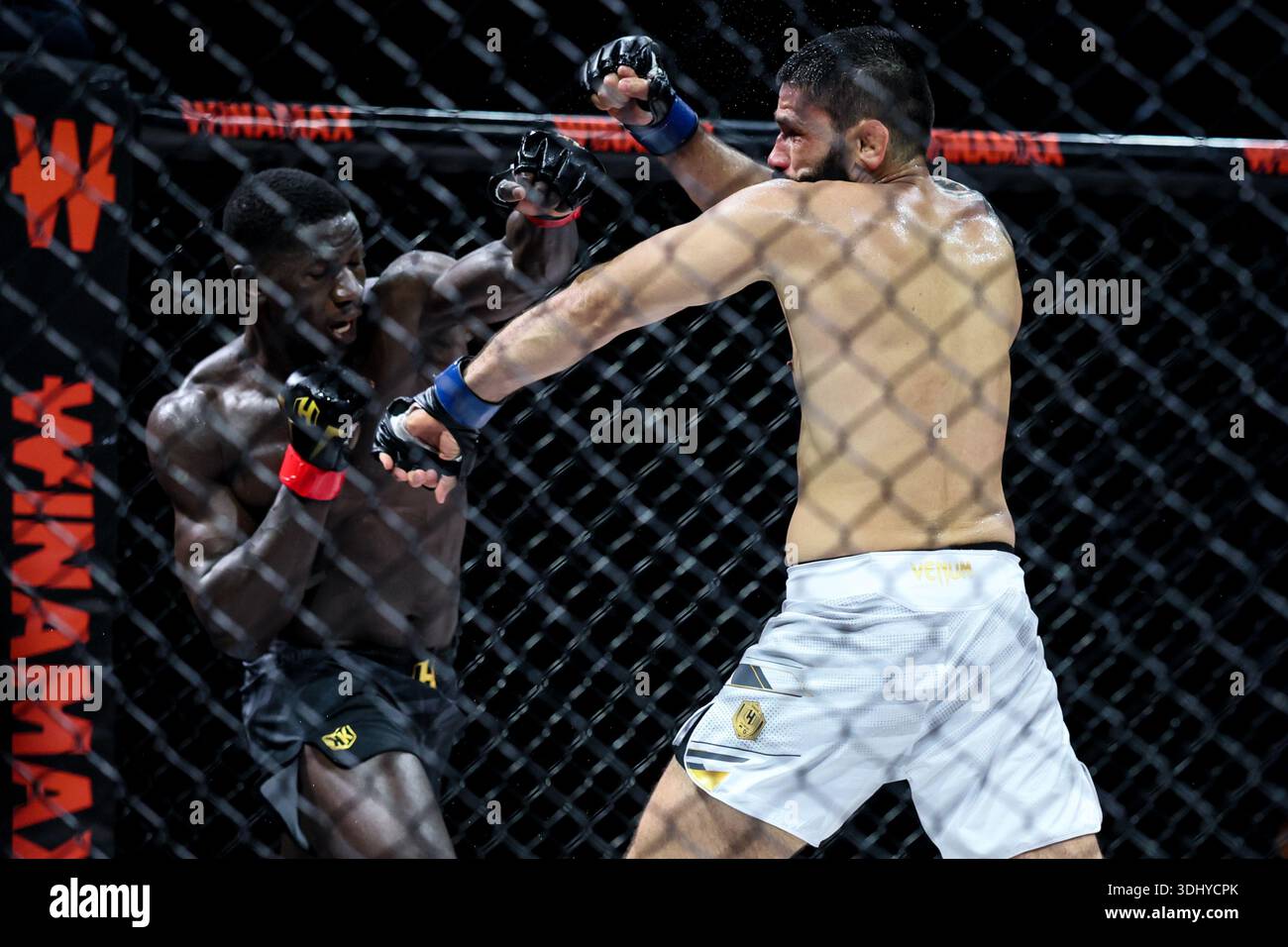 SOUKOUNA of Mali - SILVA of Brazil during the Hexagone MMA 37 at Le ...