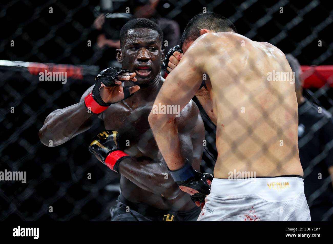 SOUKOUNA of Mali - SILVA of Brazil during the Hexagone MMA 37 at Le ...