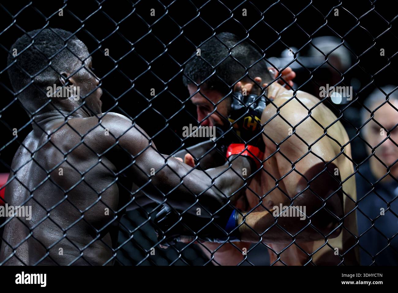 SOUKOUNA of Mali - SILVA of Brazil during the Hexagone MMA 37 at Le ...
